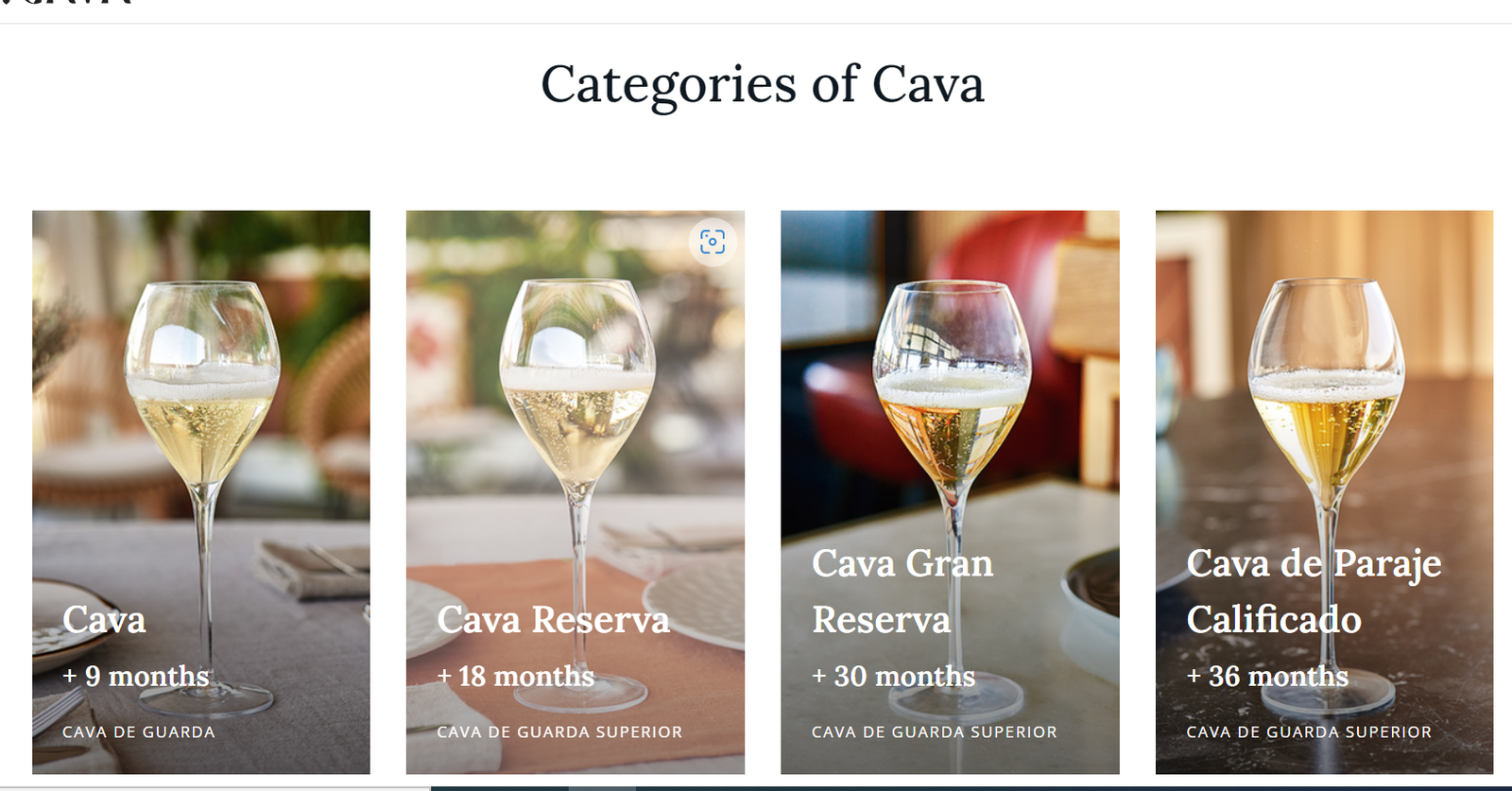 Celebrate International Cava Day - From the Vine to Wine